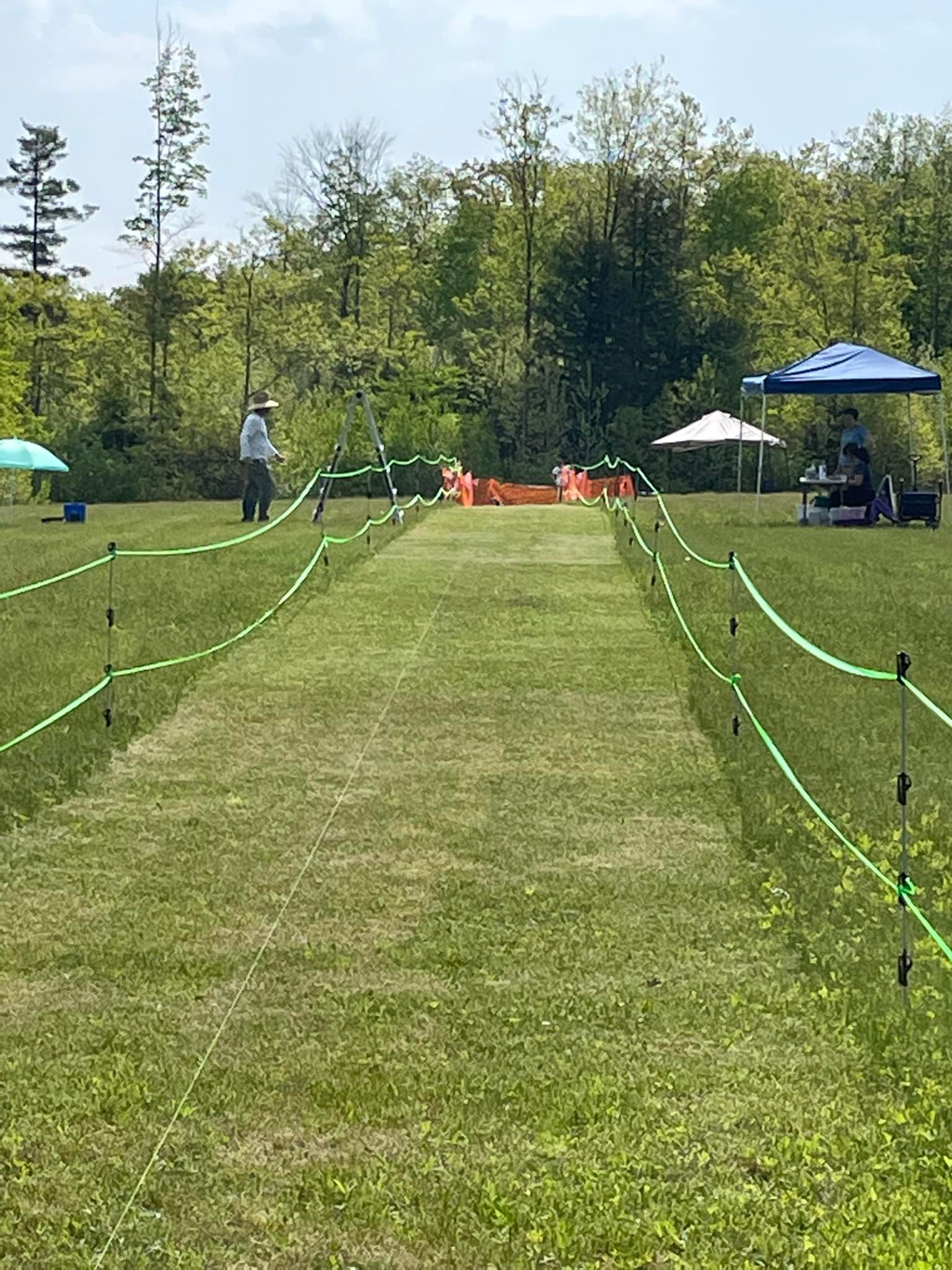 Fast CAT – Irish Wolfhound Association of New England